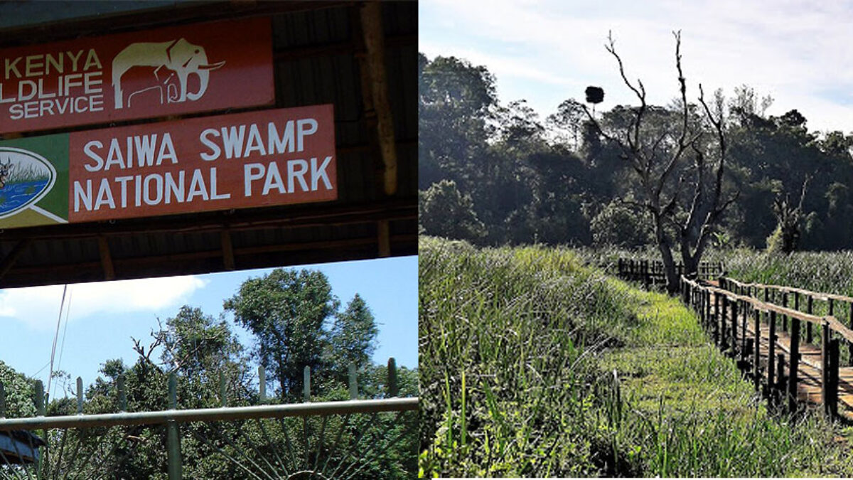 Saiwa Swamp National Park
