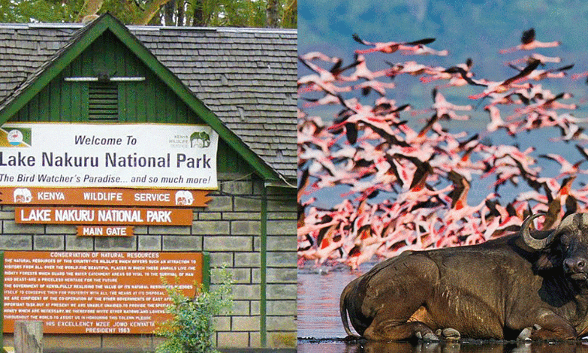 Lake Nakuru National Park.