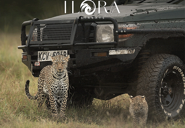 Ilora Retreats Masai Mara | Masai Mara Luxury Tented Camp | Near Olkiombo Airstrip
