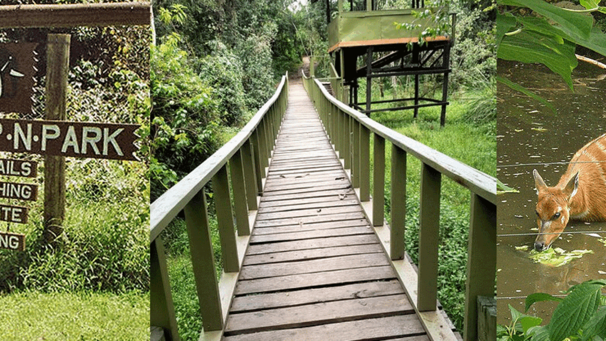 Saiwa Swamp National Park