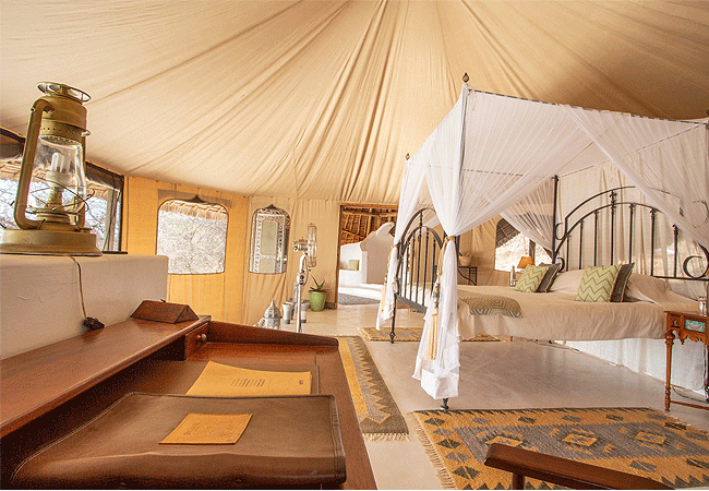 3 Day Fly-in Safari Sasaab Luxury Tented Camp Samburu