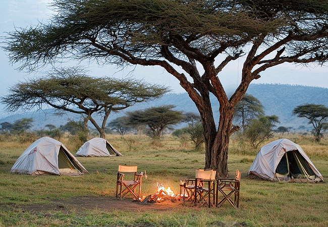 Mtalii Bush Camps Nanyuki | Room Prices | Facilities & Activities